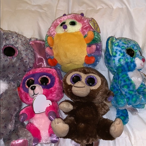Other | Beanie Boo Bundle | Poshmark